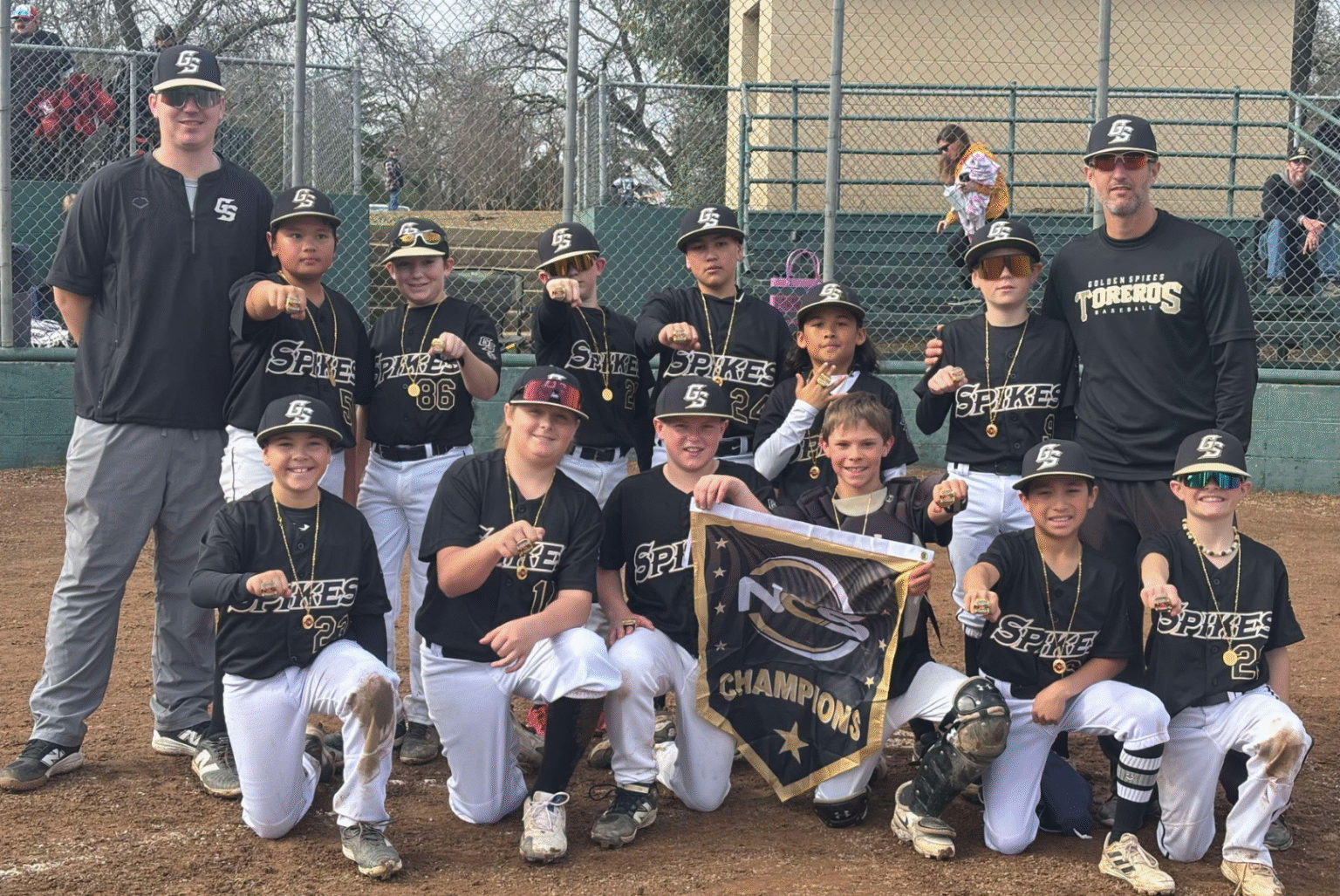 Travel Tournament Team Tryouts - Golden Spikes Baseball Academy